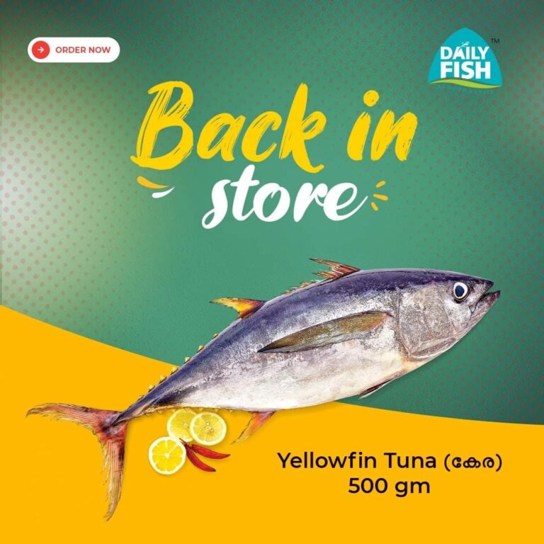 Fishes – Dailyfish